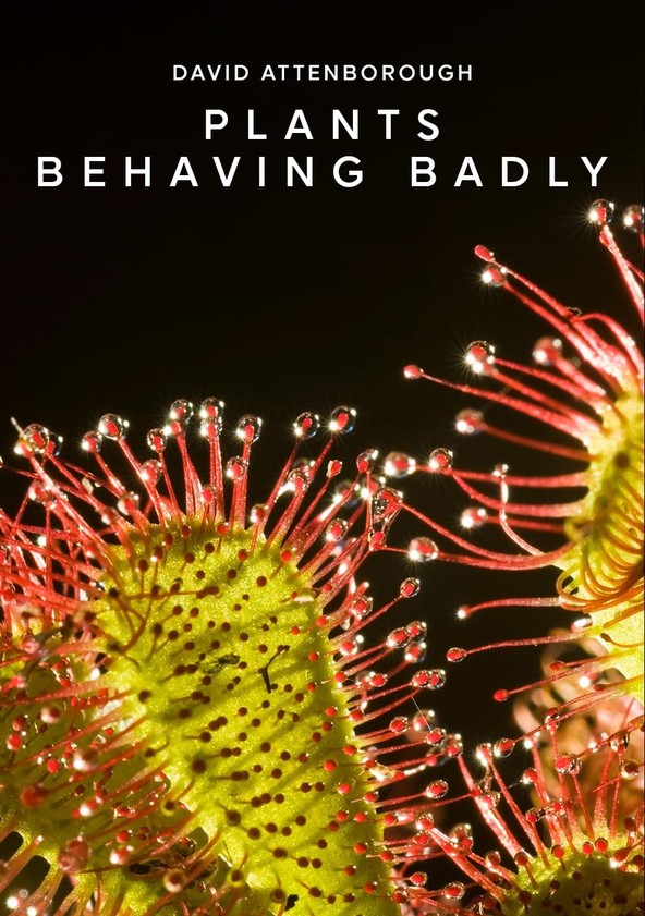 Plants Behaving Badly - Where to Watch and Stream - TV Guide