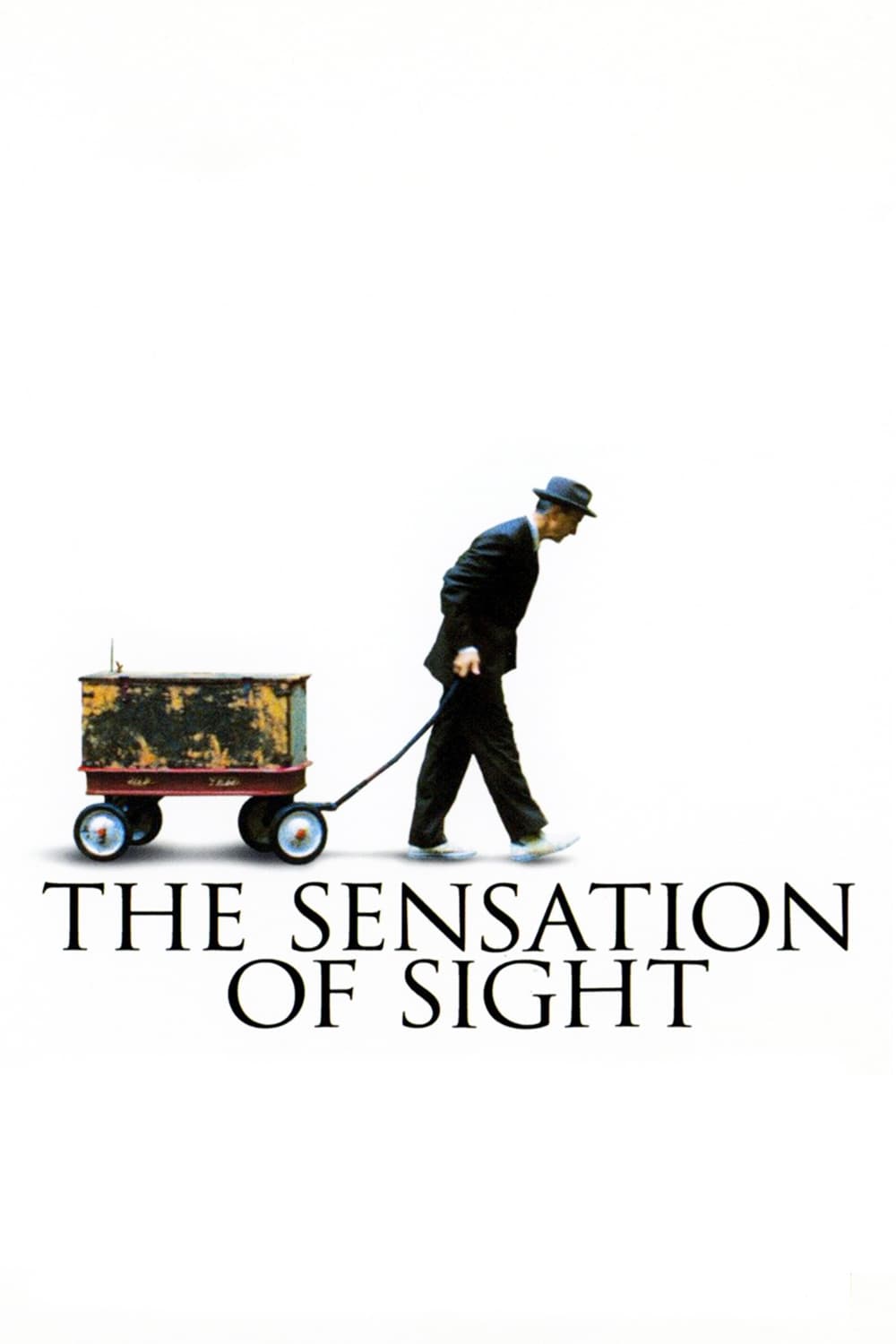 The Sensation of Sight - Where to Watch and Stream - TV Guide