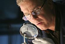 CSI Ponders a Hop Across the Pond - TV Guide