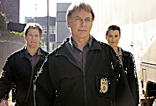 Exclusive: NCIS Star Goes AWOL! - TV Guide