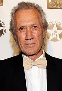 Family and Stars Remember David Carradine - TV Guide