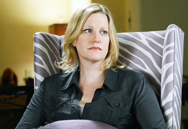 Breaking Bad's Anna Gunn Responds to Skyler Haters - TV Guide
