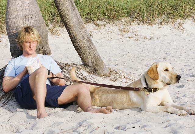 NBC Is Digging Up a Marley & Me Sequel For Television - TV Guide