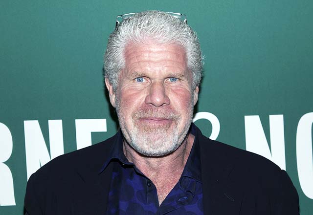 Ron Perlman Opens Up About Suicide Attempt In Memoir - TV Guide