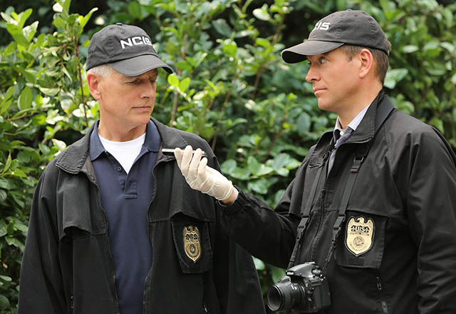 CBS Ordered to Pay $10.4 Million in Security Guard's Death on NCIS Set ...