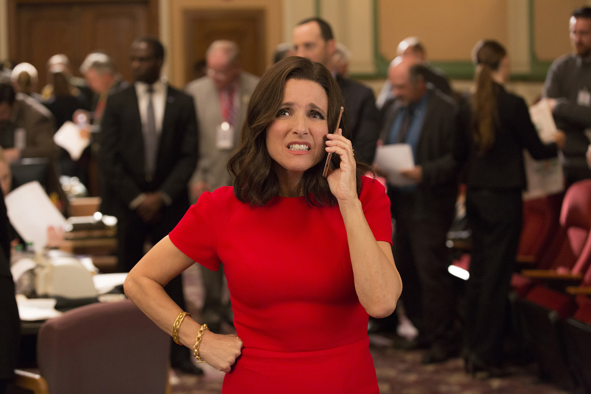 Veep Season 6 Review - TV Guide