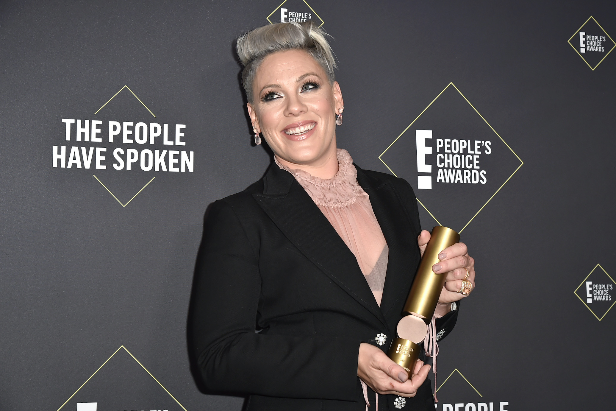 Pink Donates $1 Million After Revealing She's Recovered From ...