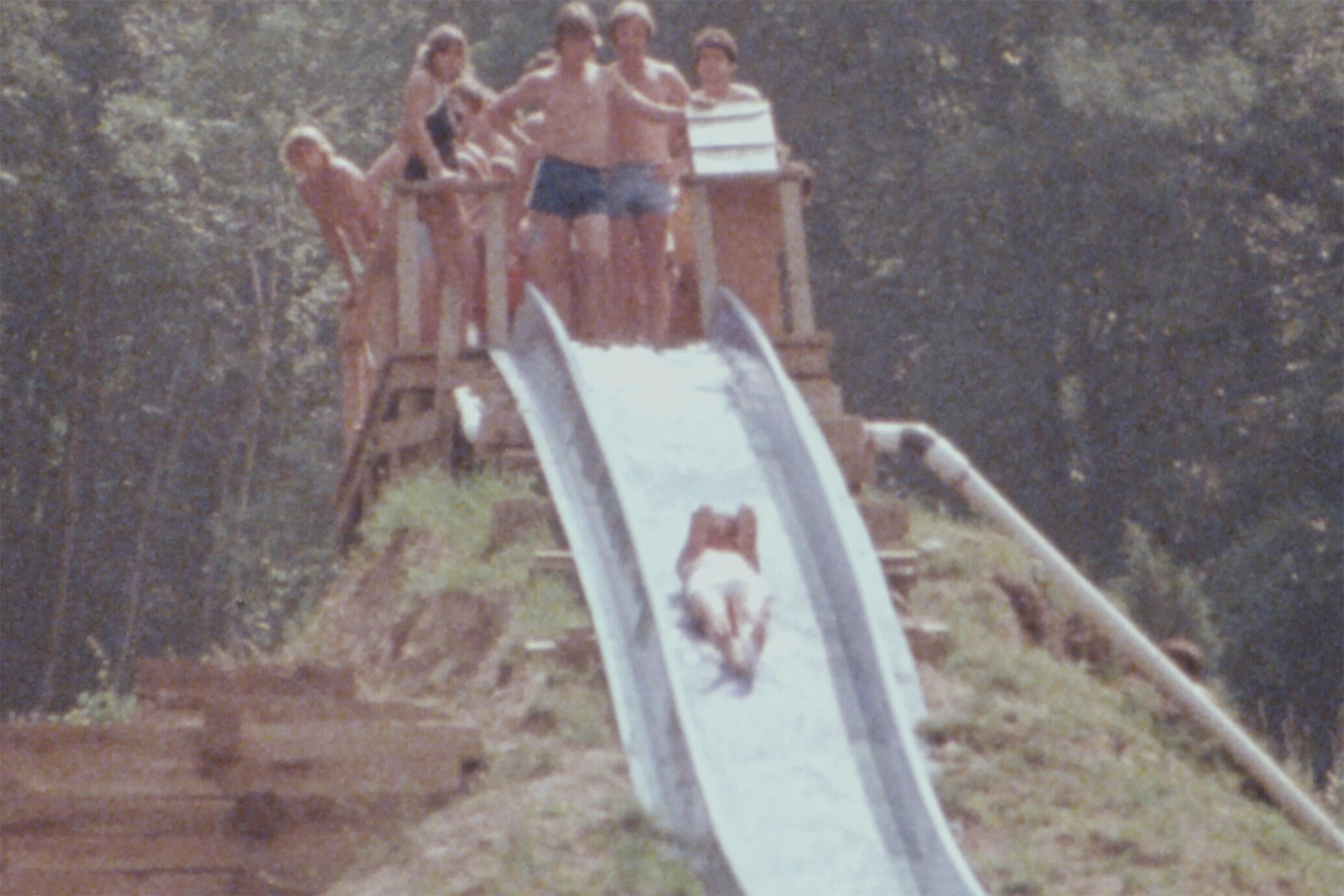 Class Action Park Documentary Follows a Lawless Amusement Park on a ...